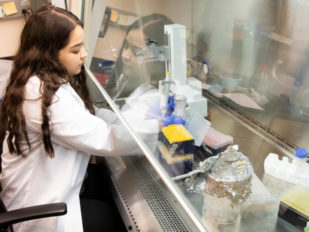 Summer Internship Program Opens High Schoolers’ Eyes to Pharmacy ...